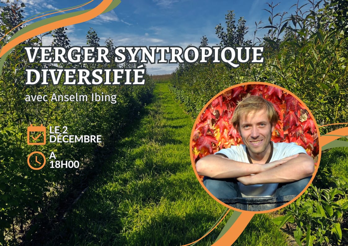 Destination Syntropie - Réseau francophone d'agriculture syntropique